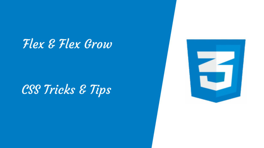 CSS Flex And Flex grow WildProgrammers
